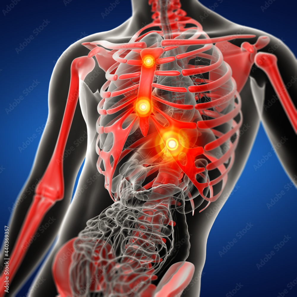 3d render skeleton by X-rays in red - front view Stock Illustration ...