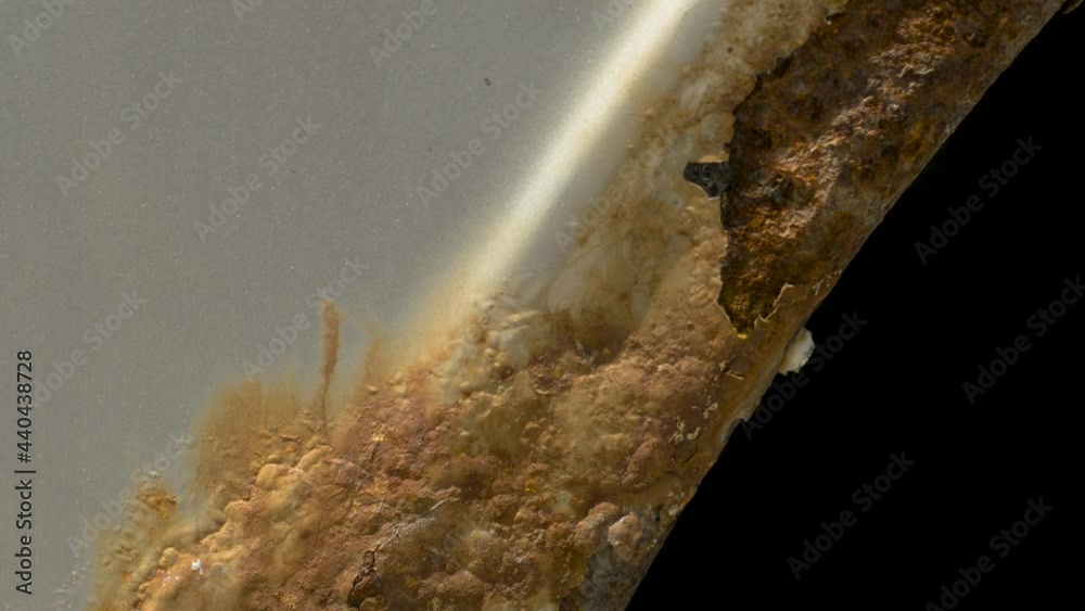 A close-up of rotted rusted metal in the fender of a car. The concept ...