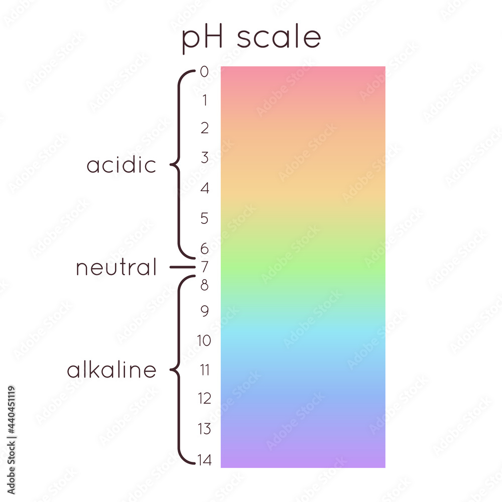 pH scale diagram. Vector rainbow illustration Stock Vector | Adobe Stock