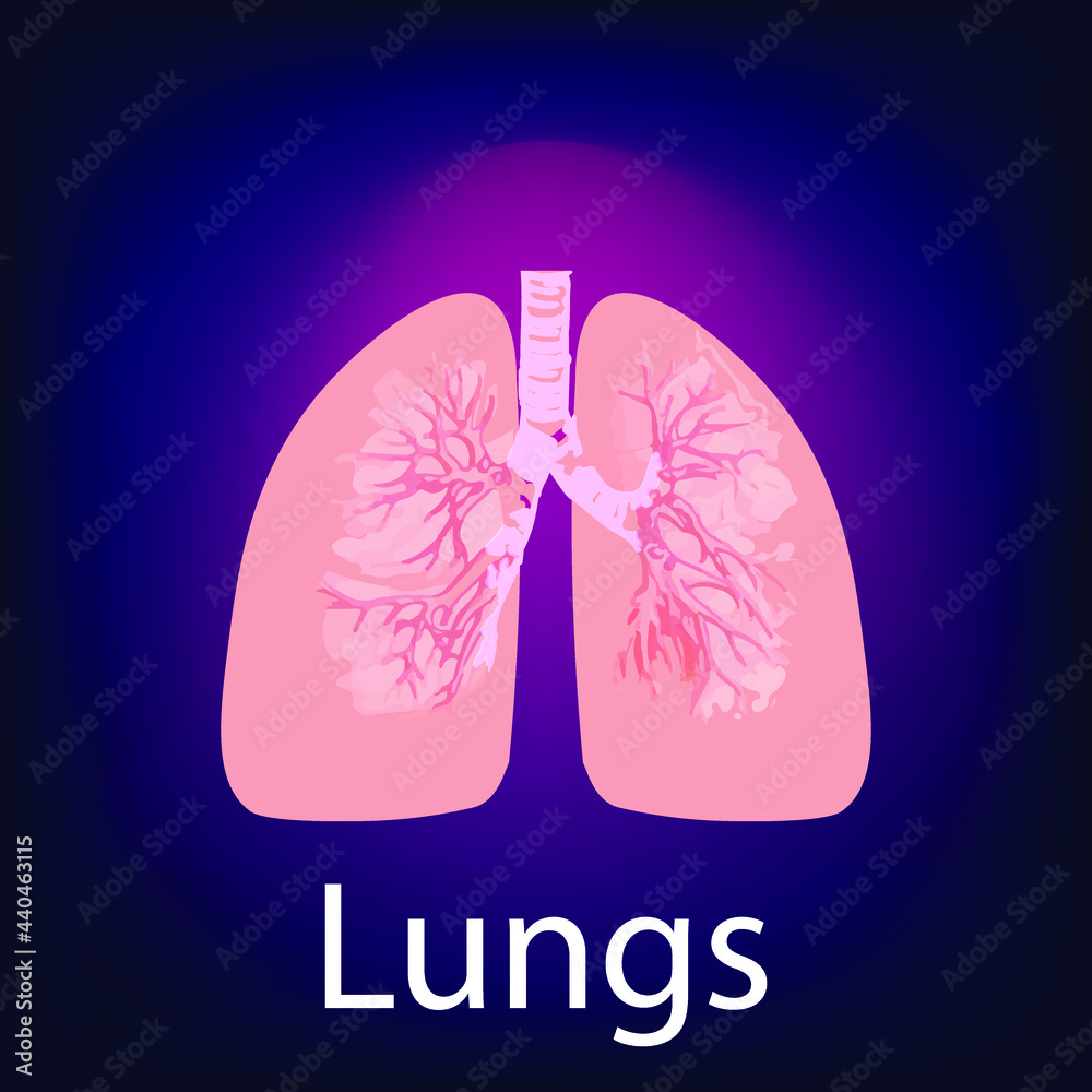 Physiological lungs icon. Sign for a medical clinic. Vector symbol ...