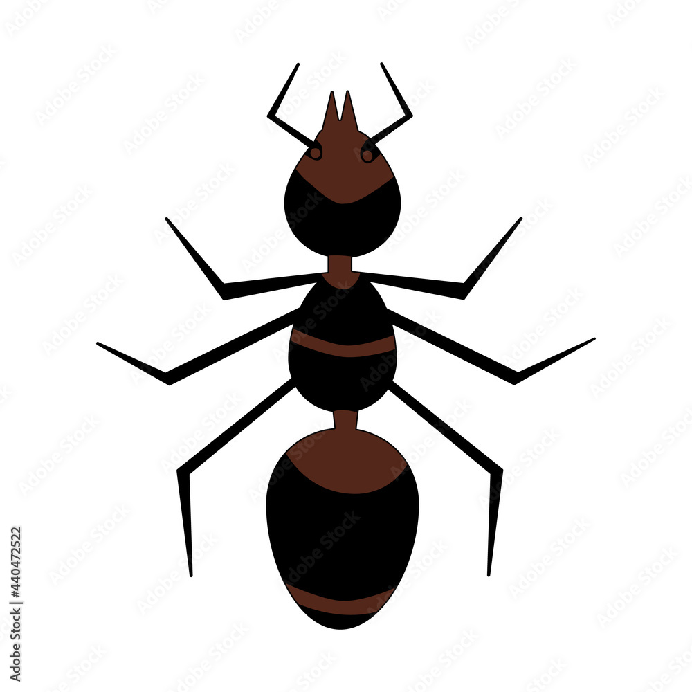 Brown ant isolated on white background. Red fire ant icon. Top view ...