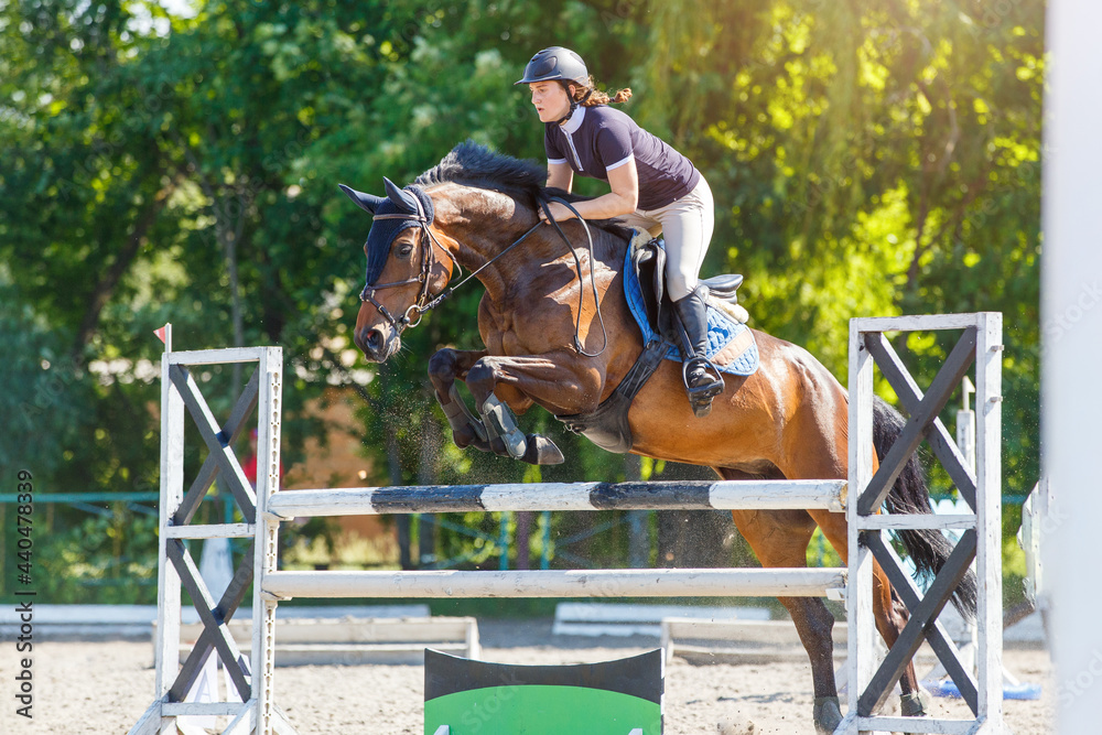 Young horse rider girl jumping over a barrier on show jumping course in ...