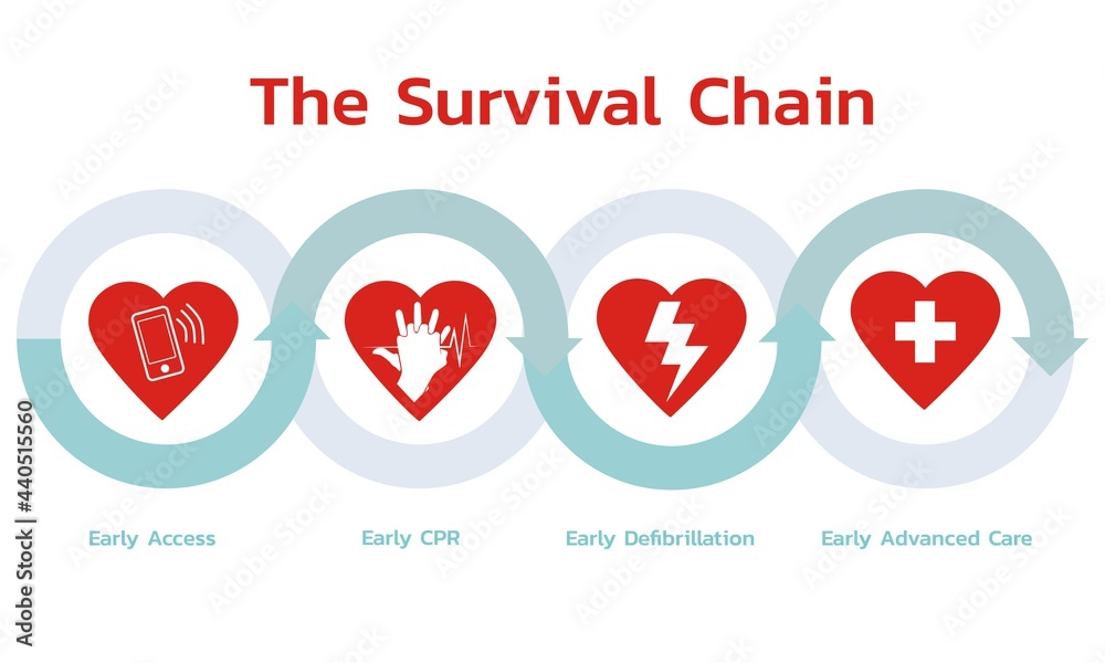 The Survival Chain symbol. Medical emergency sign isolated on white ...