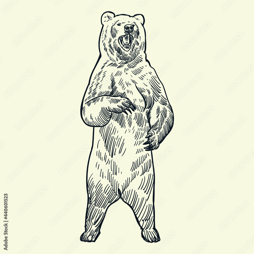 Standing Bear Vector