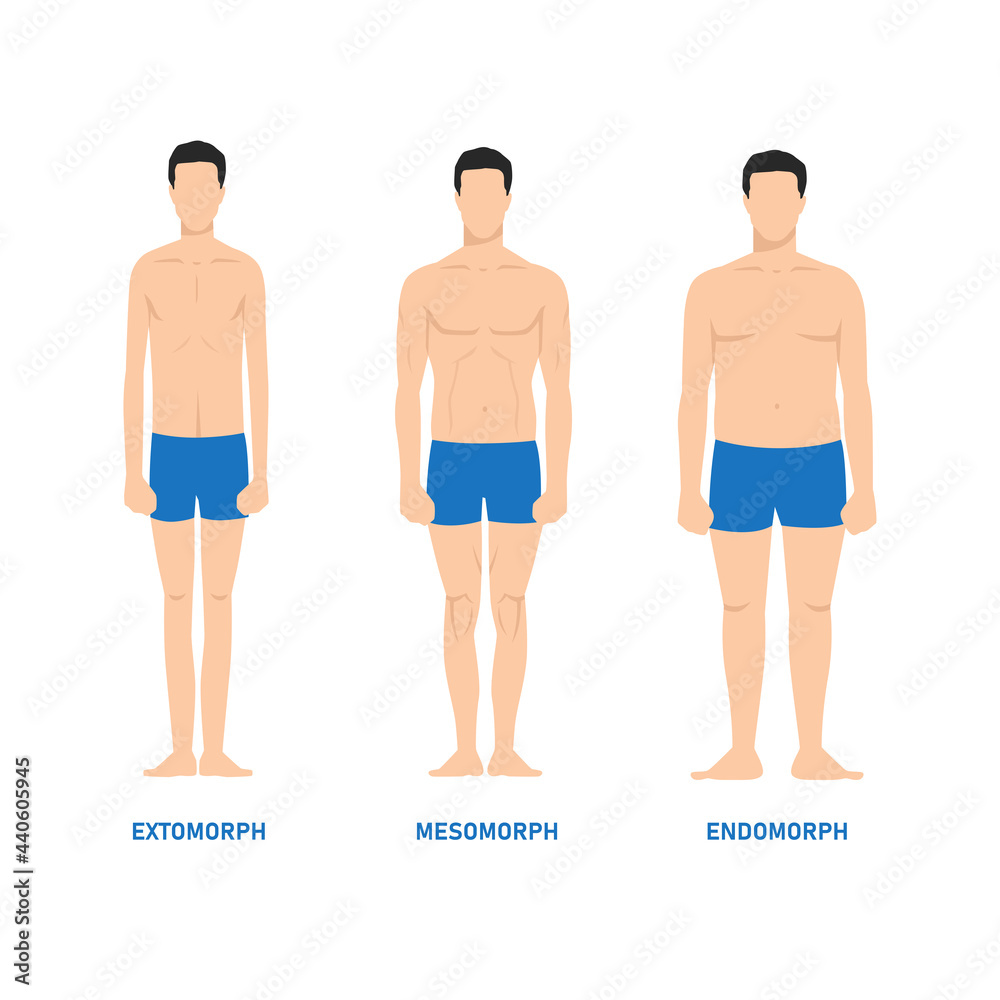 Human body shapes. Male figures types set. Vector illustration Stock ...