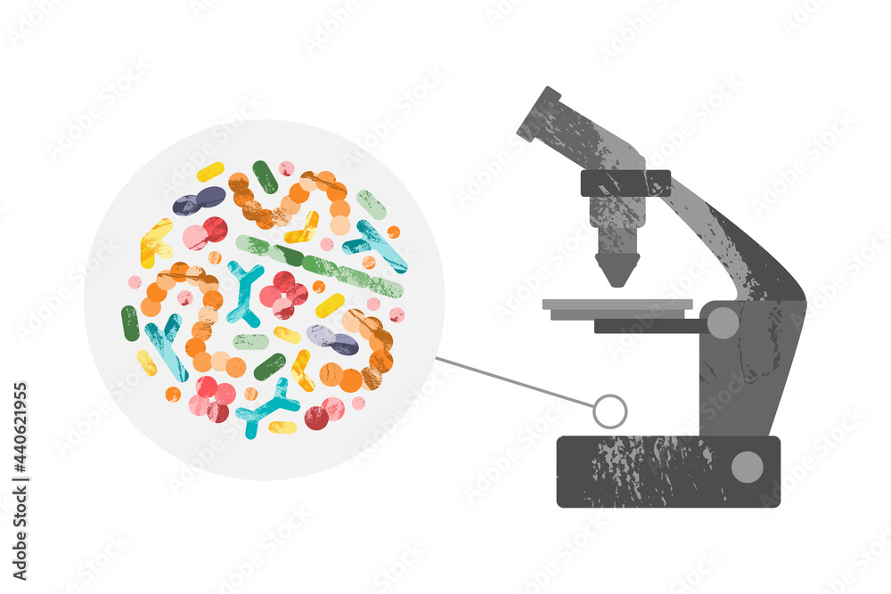 Probiotics under the microscope. Good lactic acid bacteria for gut ...