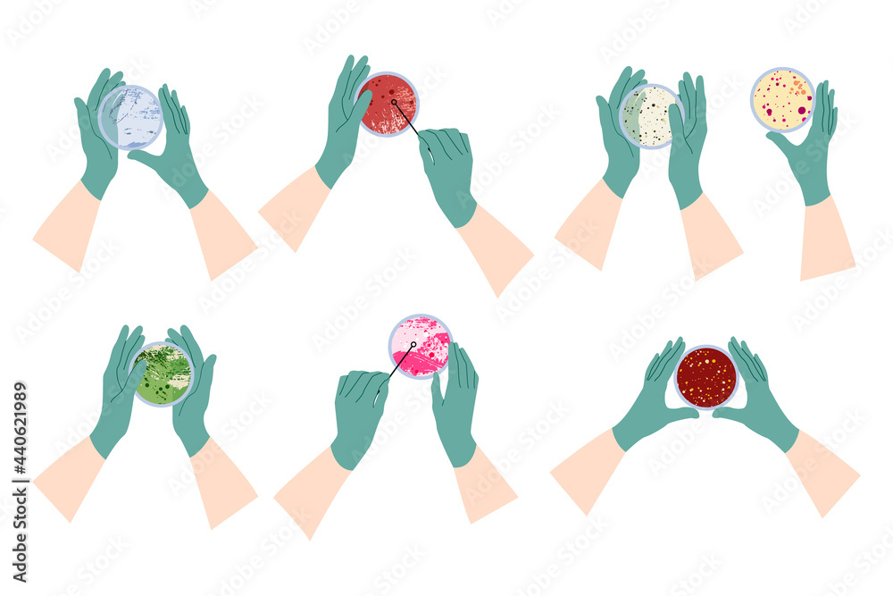 Scientist's hand in glove holding Petri dish, plate with agar ...