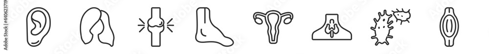 outline set of human body parts line icons. linear vector icons such as ...