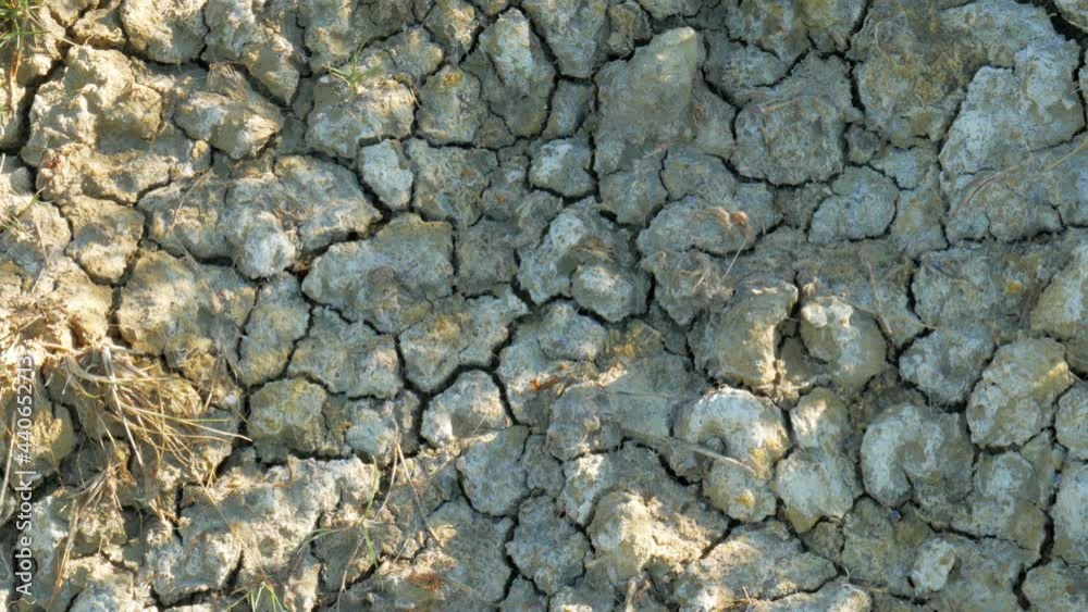 Very drying up the soil crust earth climate change, environmental ...