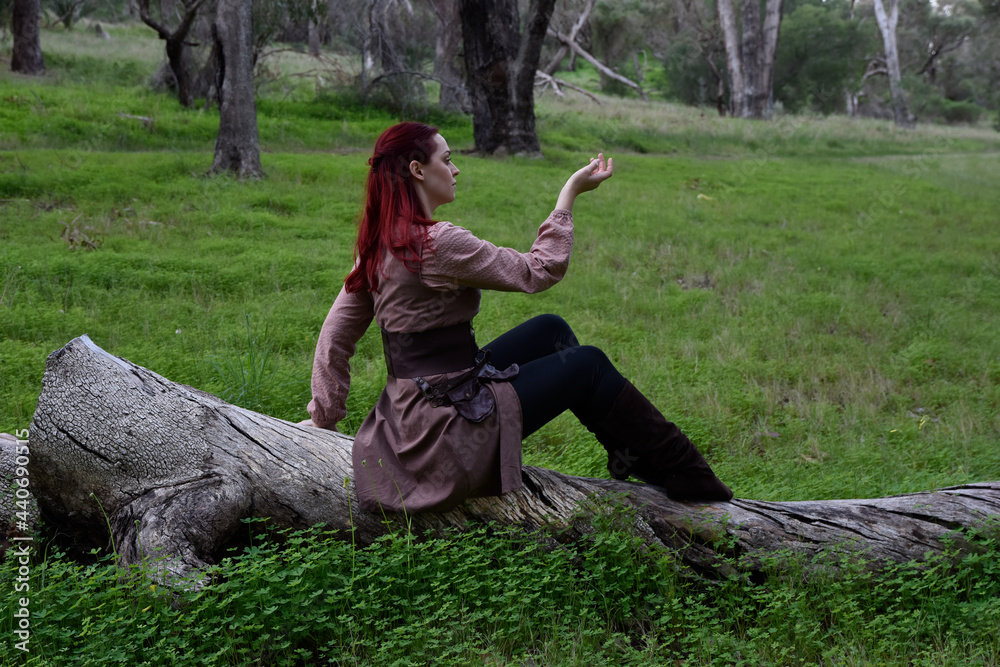 portrait of red haired girl wearing fantasy medieval clothes of a ...