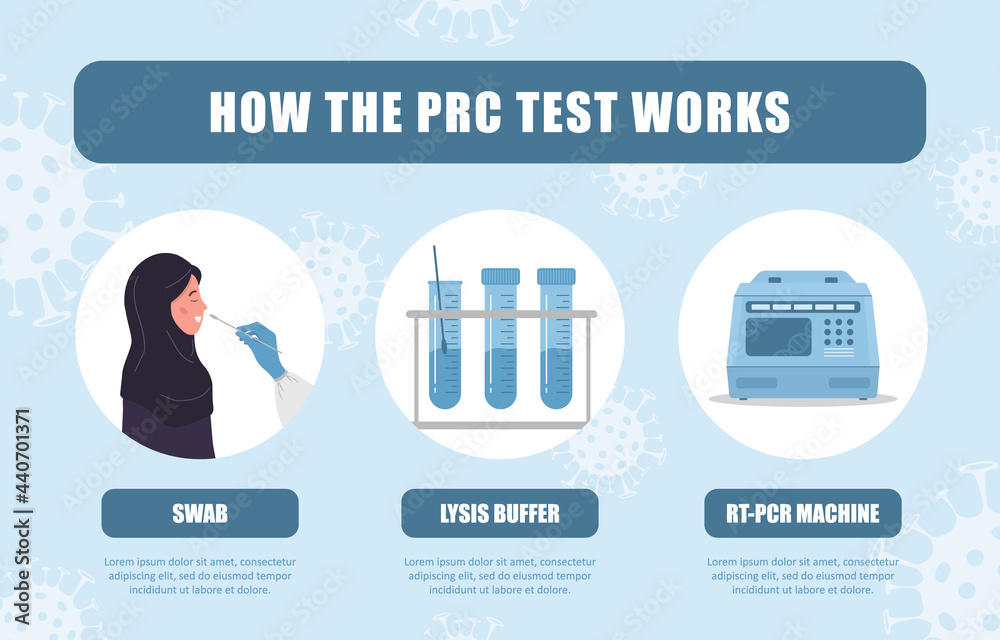 How PCR test works. Nasal swab laboratory analysis of biomaterial ...