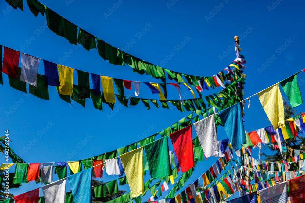 Buddhist prayer flags lunga in McLeod Ganj, Himachal Pradesh, India ...