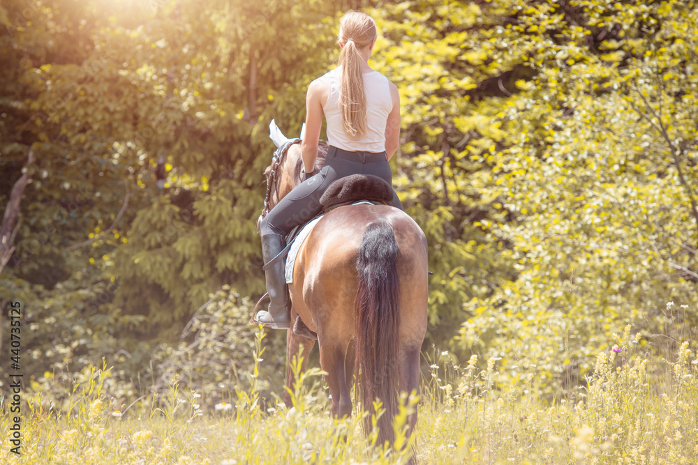 Reiterin mit Pferd/Pony in der Natur Stock Photo | Adobe Stock