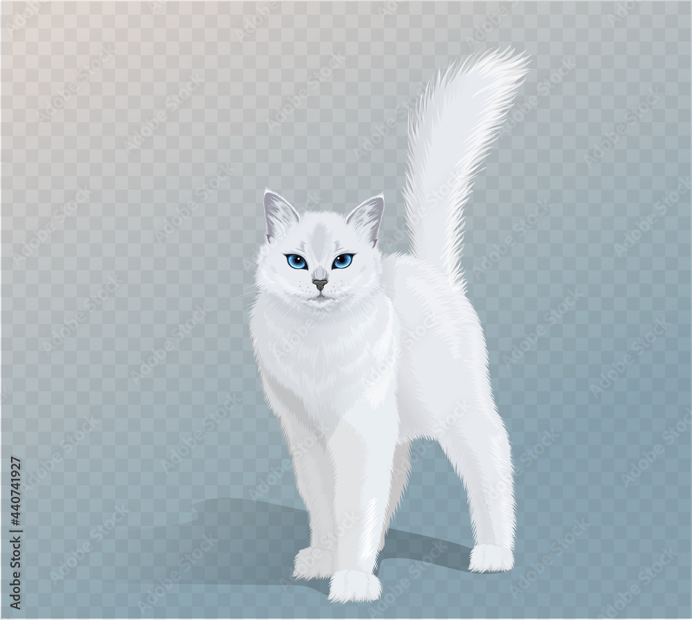 Cat Standing Front View