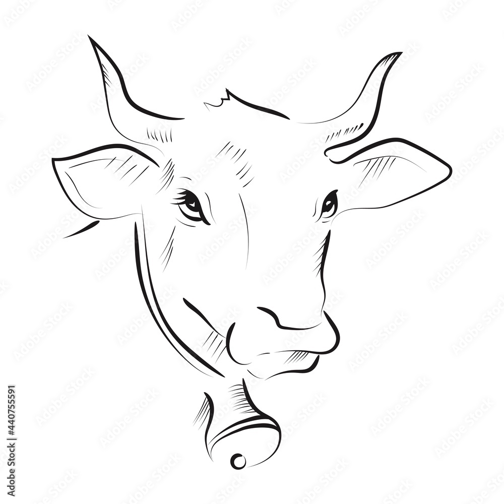 Outline drawing of bull hand. Vector illustration. Stock Vector | Adobe ...