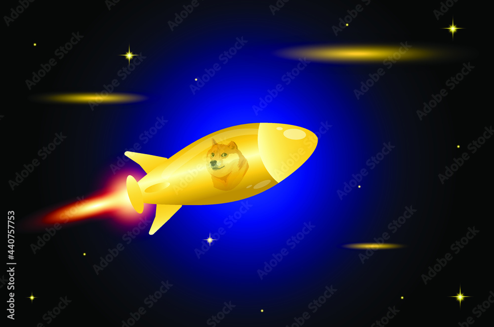 Doge Coins, Doge to the moon, crypto currency, Doge meme, Doge with ...