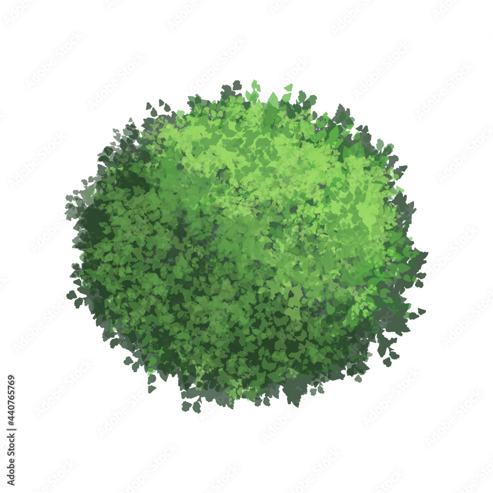 Green bush. Decorative bushes. Bush top view. Vector illustration ...