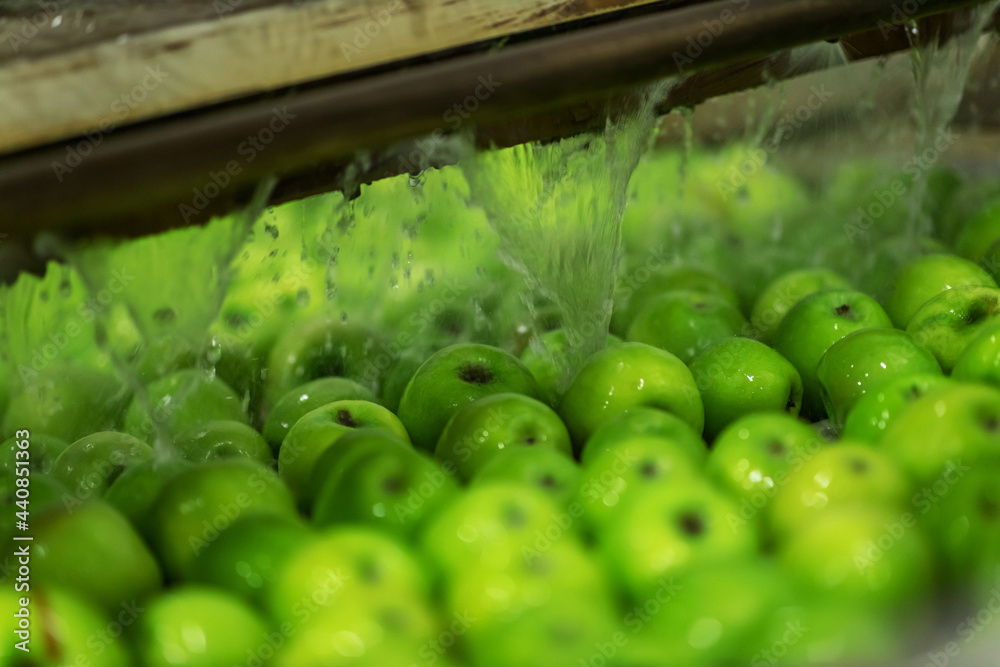 Washing and drying apples in the factory. The process of production ...