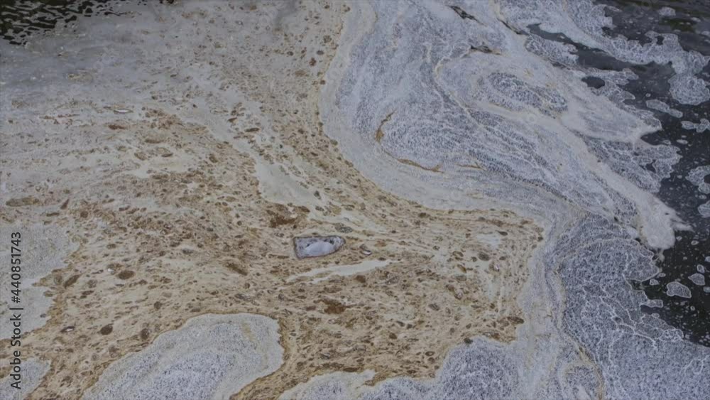 Dirty dark green water with foam from a sewage treatment plant, close ...