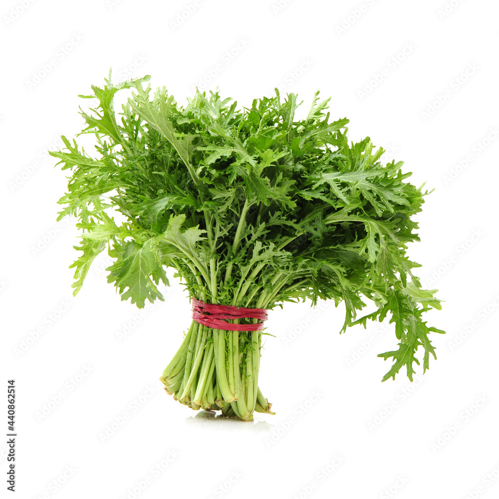 Shungiku, also known as tong hao, or edible chrysanthemum, Isolated on ...