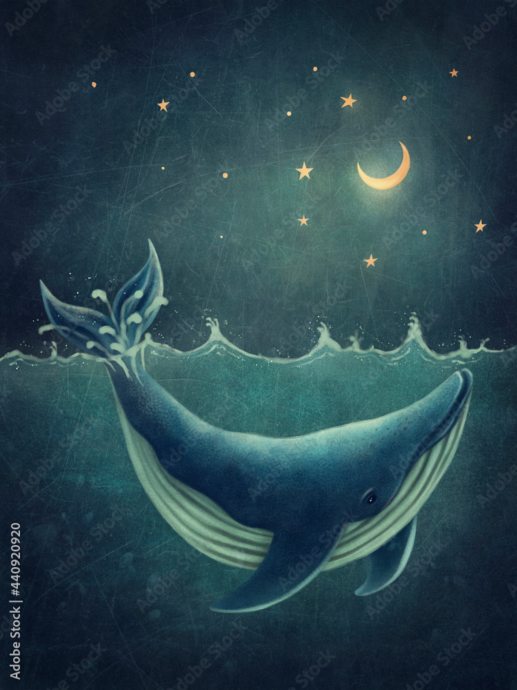 Blue whale Stock Illustration | Adobe Stock