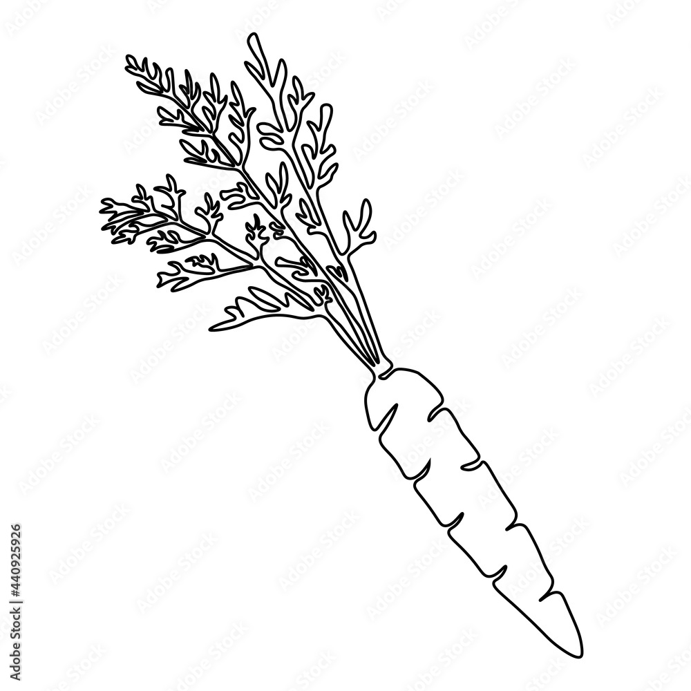 Continuous one line drawing carrot. Vector illustration. Black line art ...