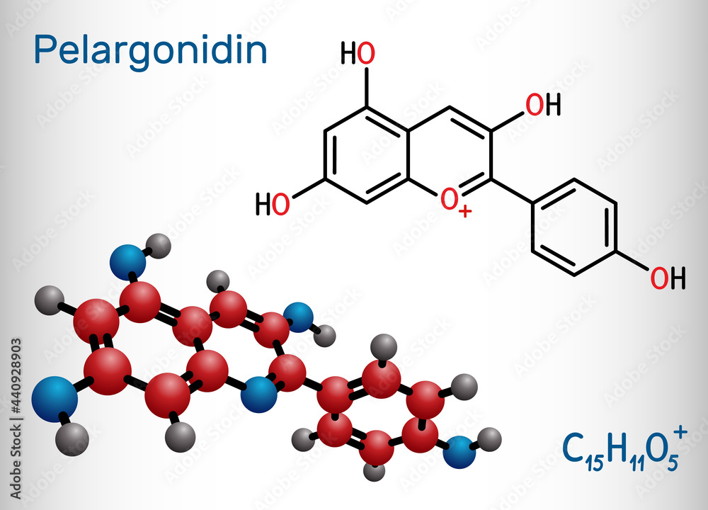 Pelargonidin molecule. It is anthocyanidin cation, plant pigment ...