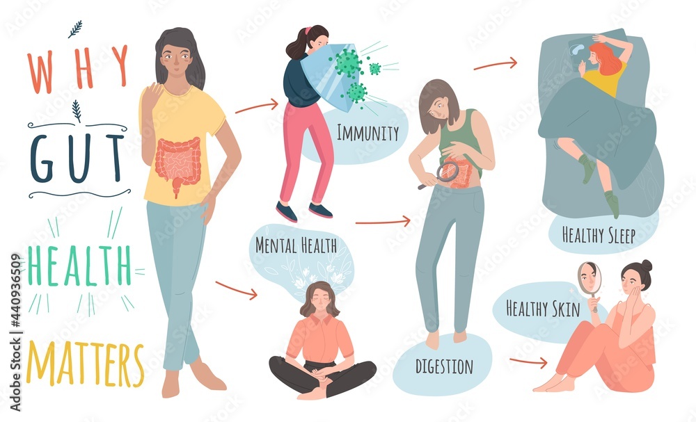 Why gut health matters. Landscape poster. Medical infographic. Stock Vector | Adobe Stock