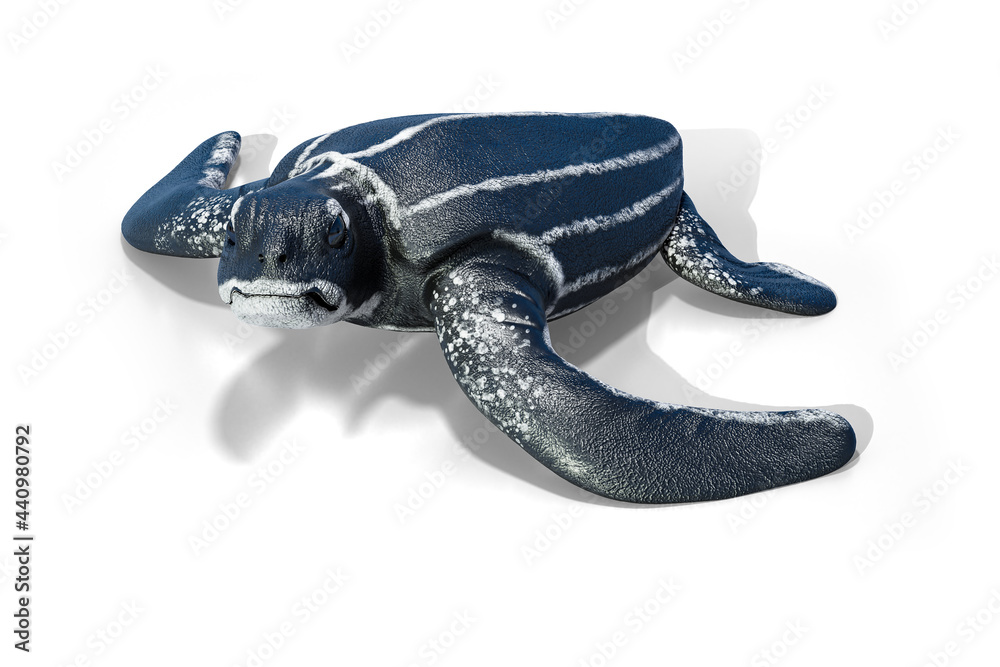 3d realistic rendering close-up shot of a baby newborn Leatherback sea ...