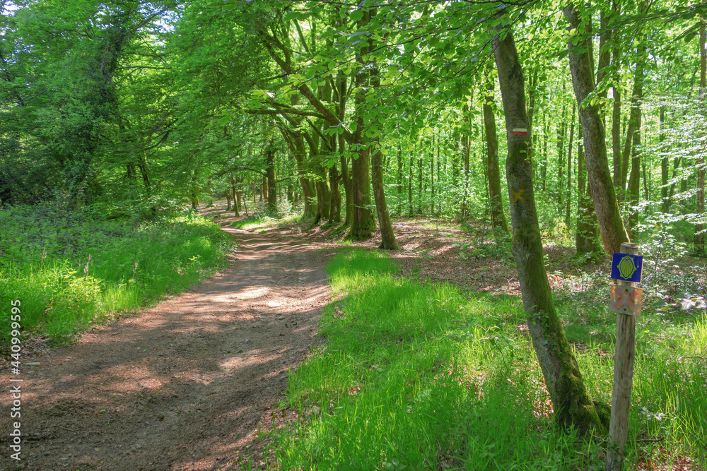 Sur la voie de Rocamadour pour Saint-Jacques-de-Compostelle entre les ...