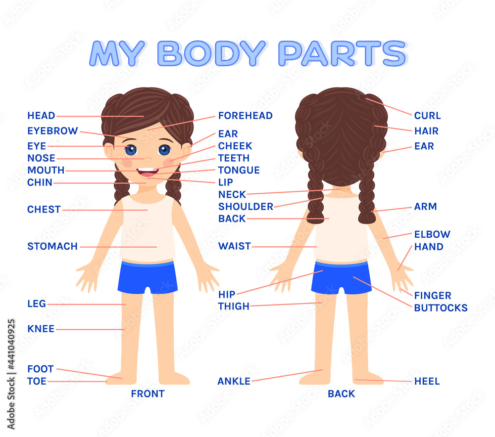 My Body Parts for Education the child to Game. Beautiful Girl in ...