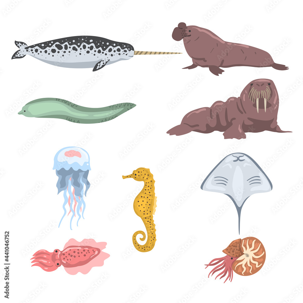Underwater Ocean Sea Creatures amd Animals Set, Narwhal, Walrus ...