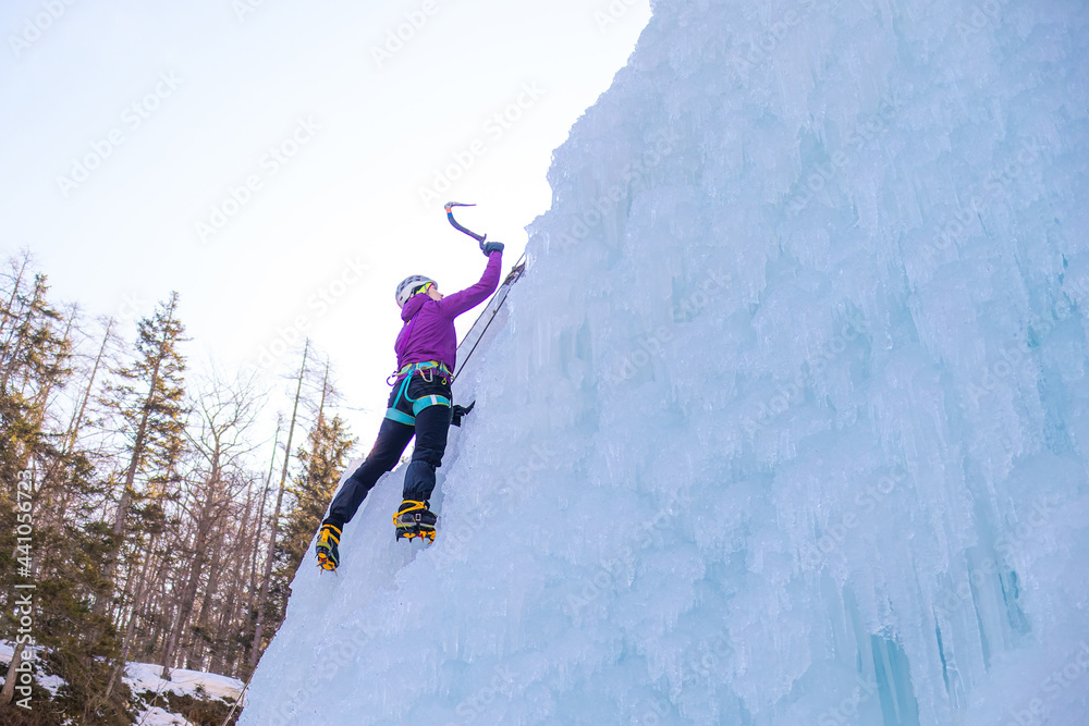 Female ice climber silhouette swinging ice axes on her way up vertical ...