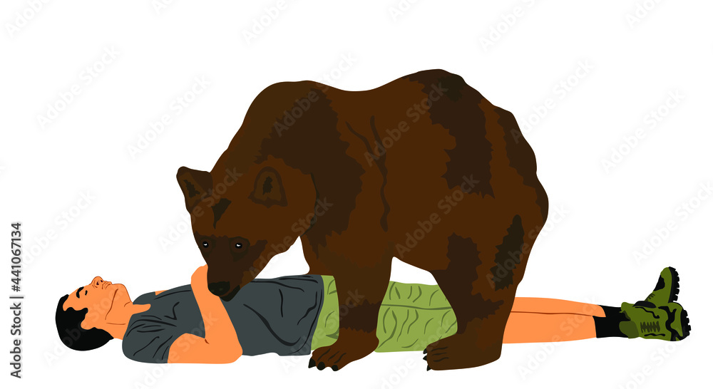 Man lies on the ground and pretends to be dead to protect himself from bear attacks vector ...