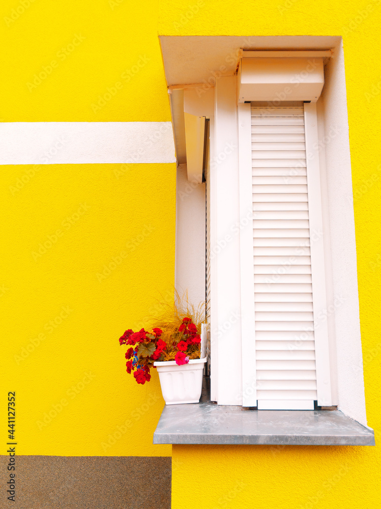 Stylish yellow color trend wallpaper. Wall, flower and window ...