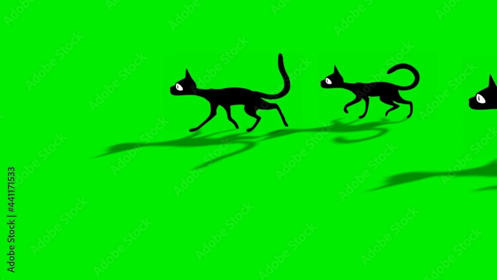 Shade Of Walking Black Cats 2D animation.Includes green screen/alpha ...