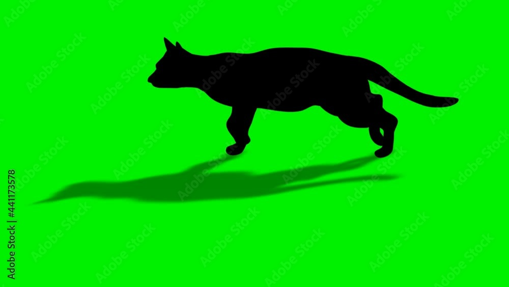 Shade Of Walking Black Cat 2D animation.Includes green screen/alpha ...