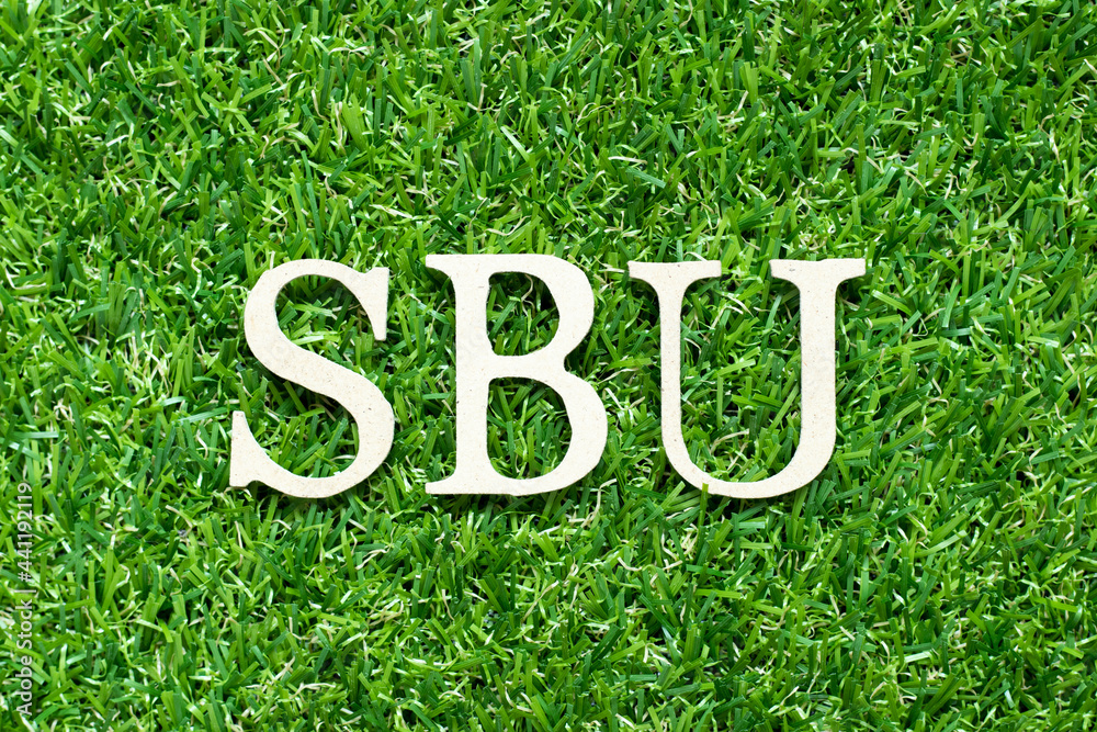 Alphabet letter in word SBU (Abbreviation of Strategic business unit ...