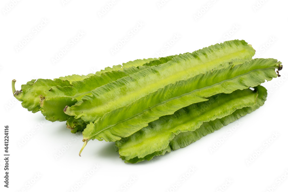 Young Winged Beans (Psophocarpus tetragonolobus) isolated on the white ...