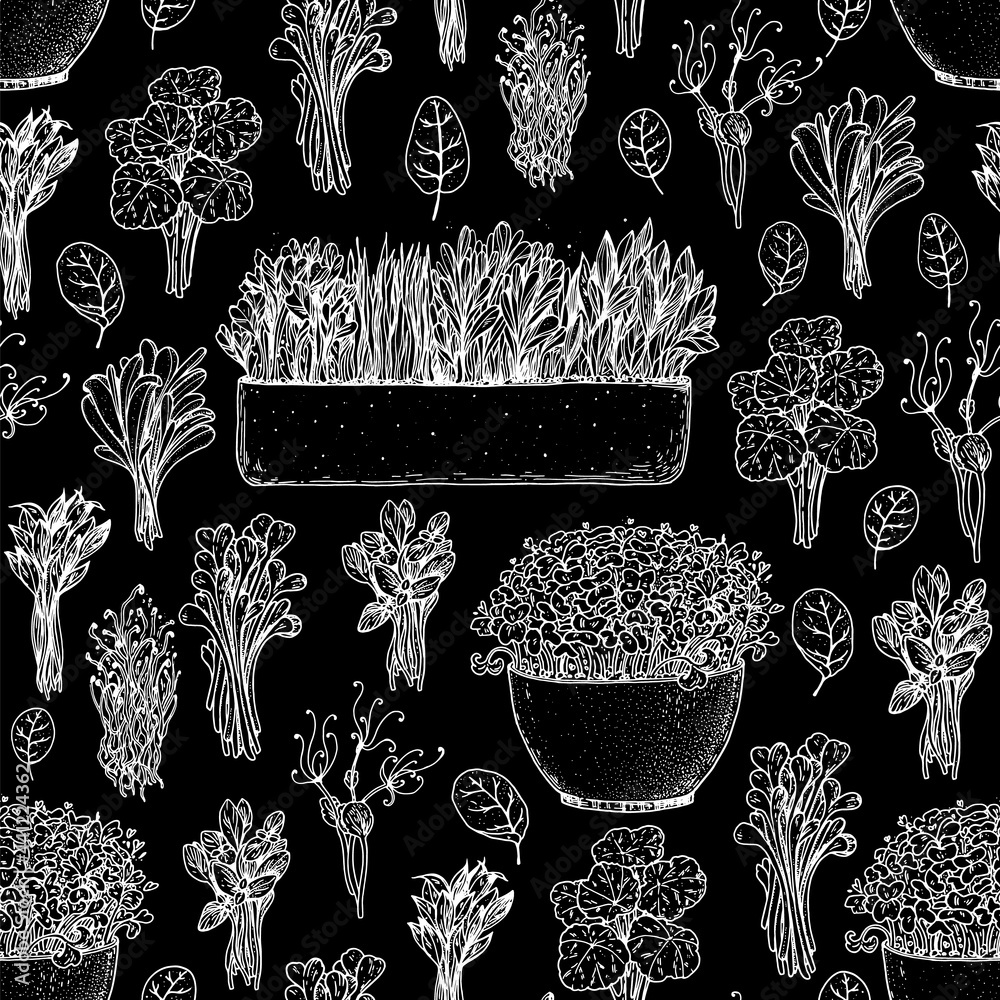 Microgreens hand drawn vector illustration. Seamless pattern. Organic ...