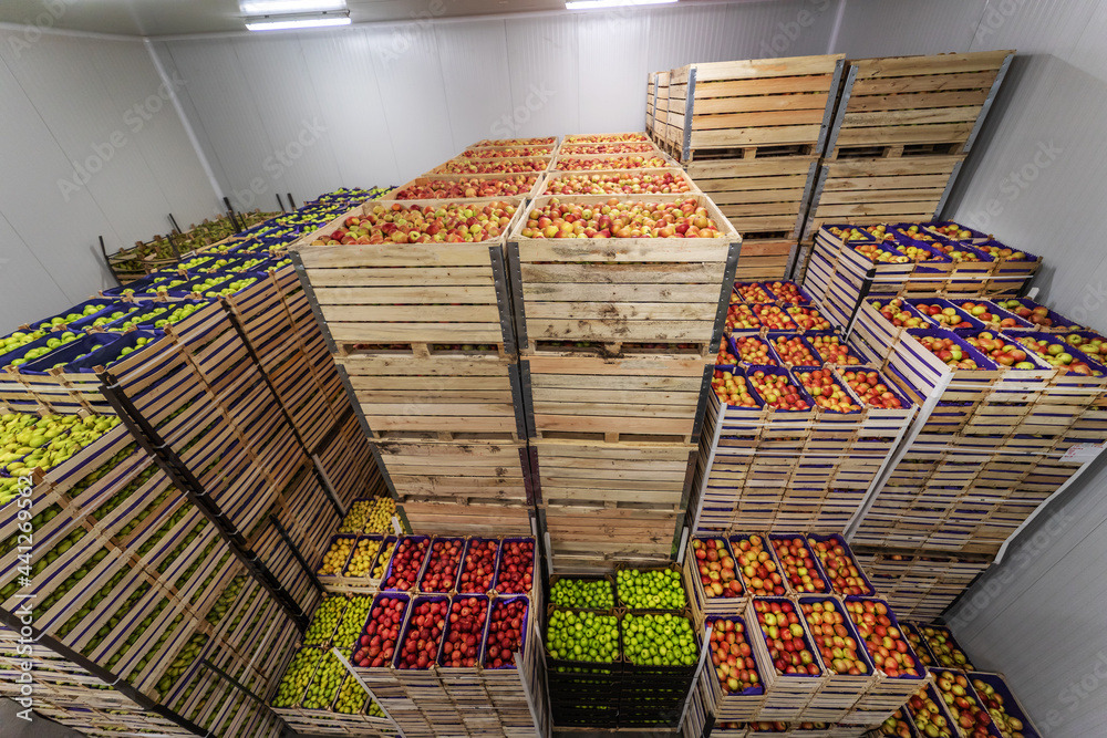 Fruits in crates ready for shipping. Cold storage interior. Stock Photo ...