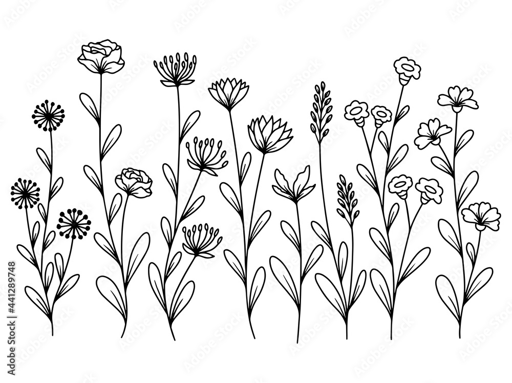 Hand drawn flower sketch line art illustration set. Stock Vector ...