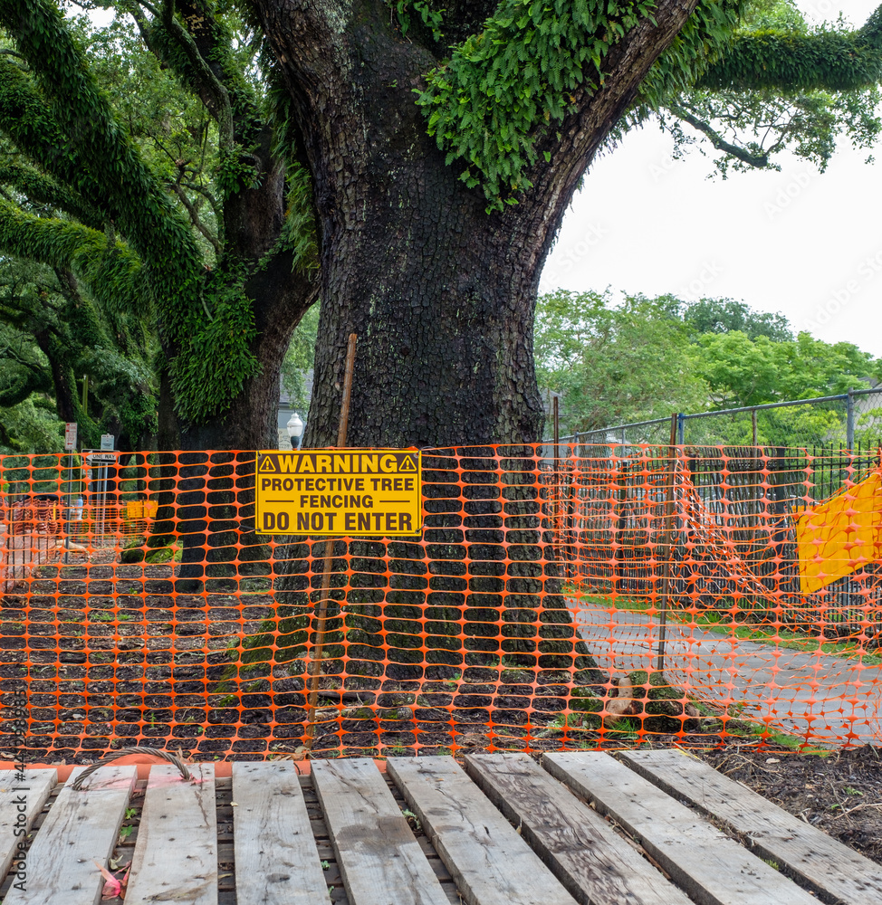 "Warning Protective Tree Fencing Do Not Enter" Sign Around Live Oak ...