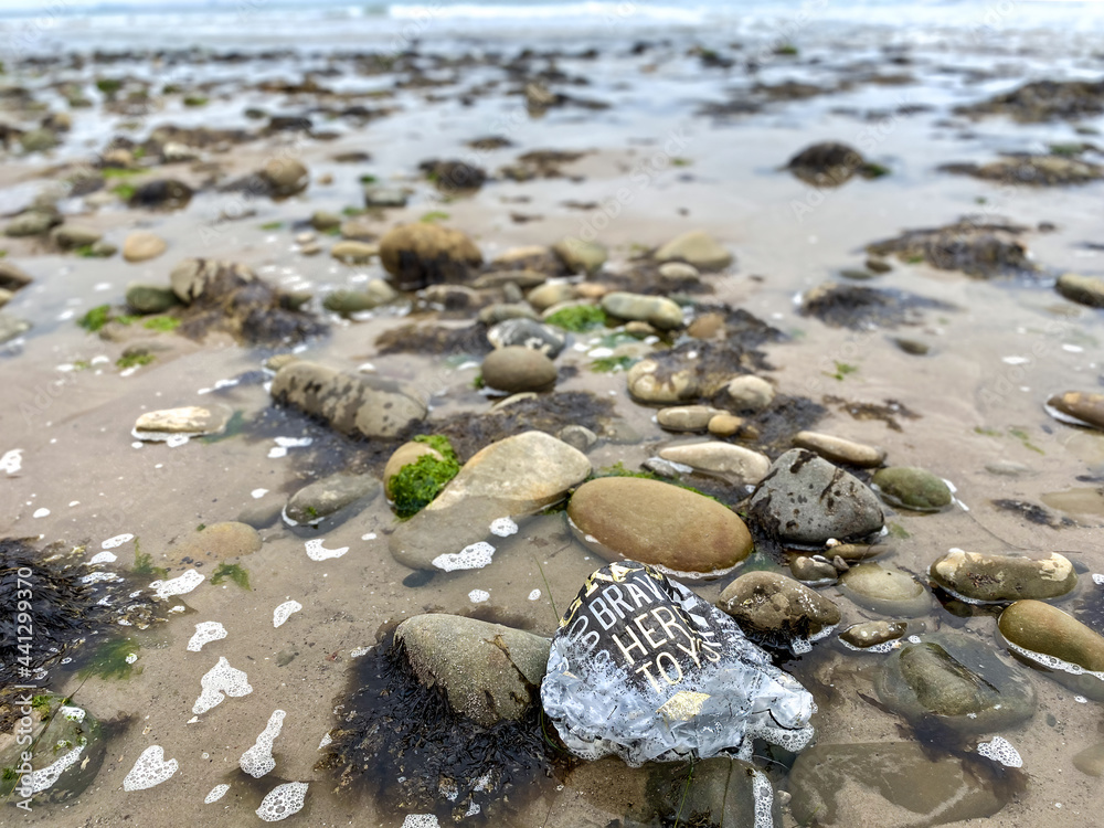 Plastic bag pollution washed up along the ocean rock pools California ...