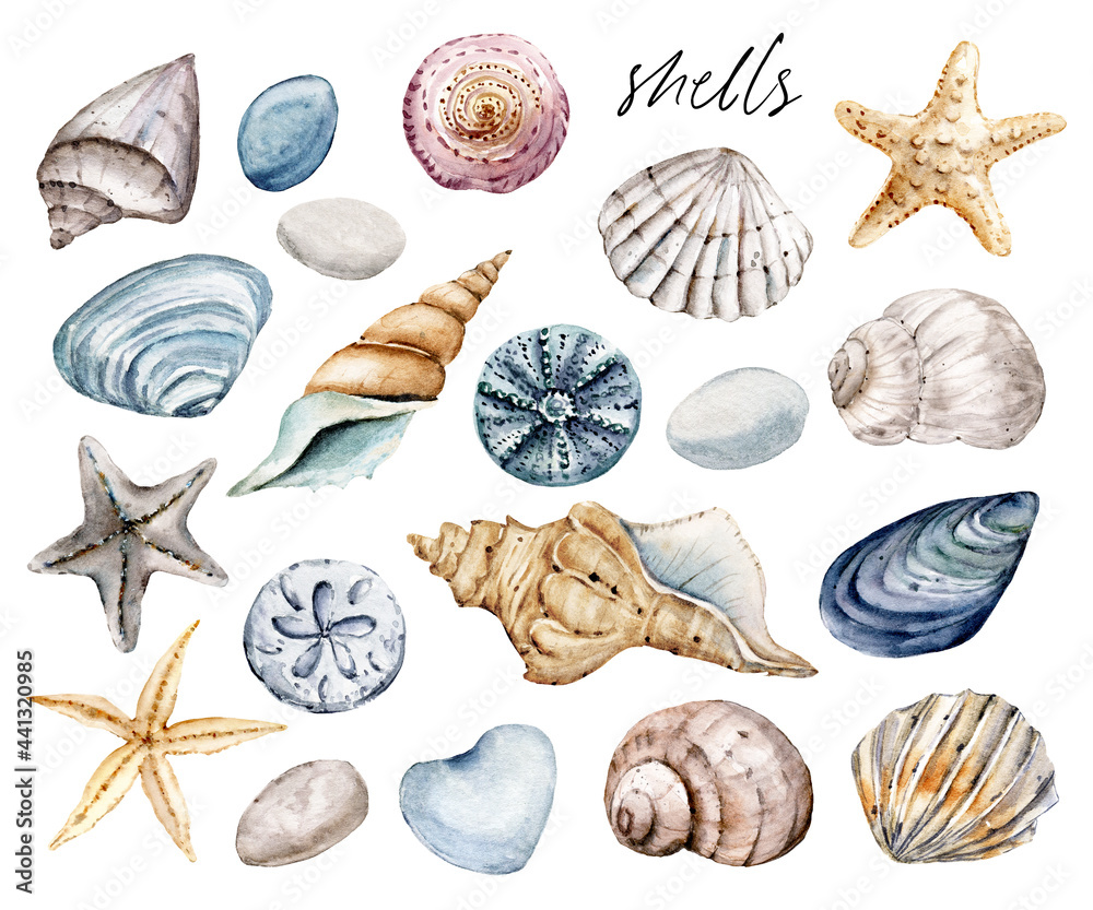 Shells set, beach scenery. Watercolor starfish and other shells in ...
