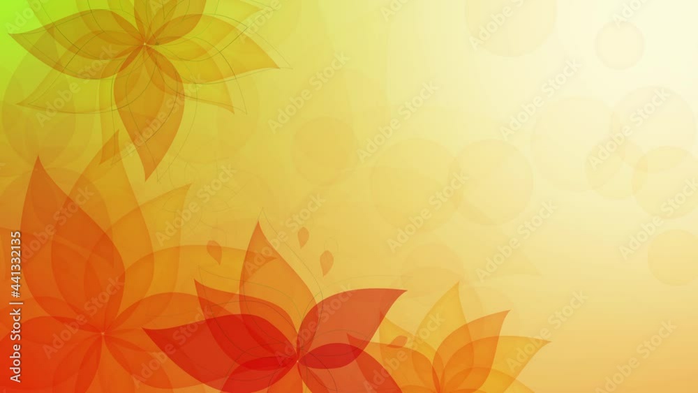 Flower background, loop animation 4K with colorful flowers, motion ...