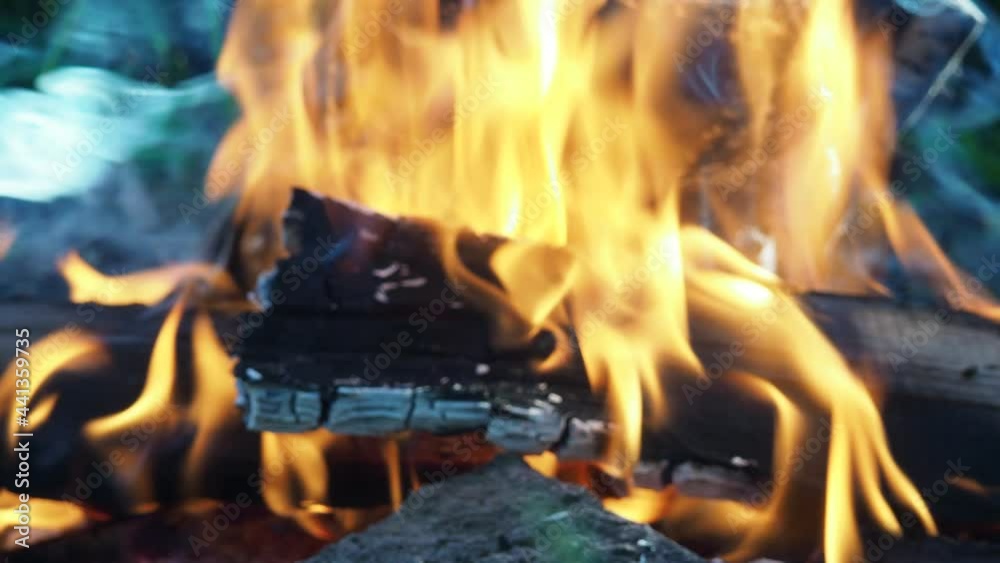 Burning wood at night. Campfire at touristic camp at nature in ...