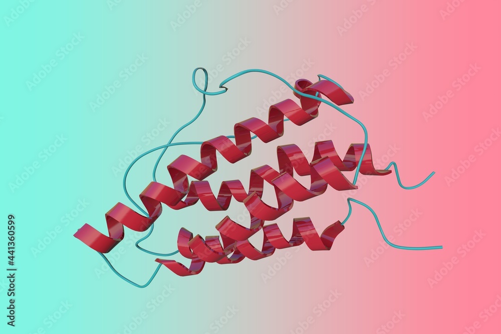 Crystal structure of human erythropoietin (EPO, epoetin). Ribbons ...