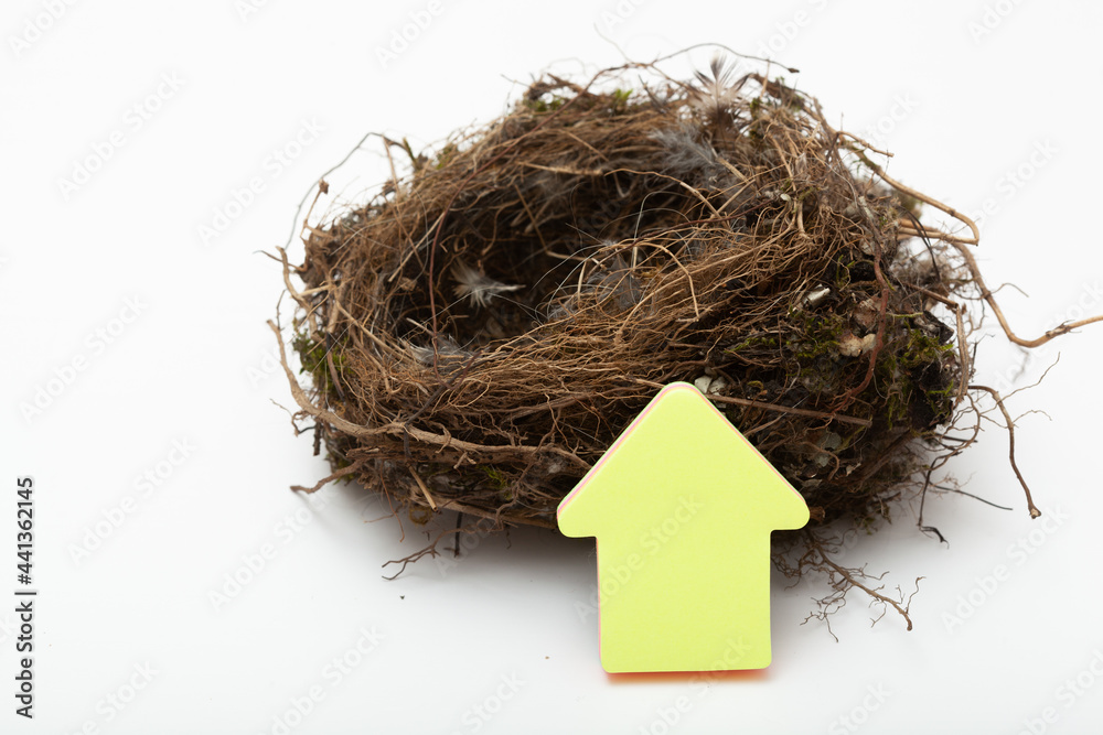 Yellow house near the nest. A symbol of protection and care for the ...
