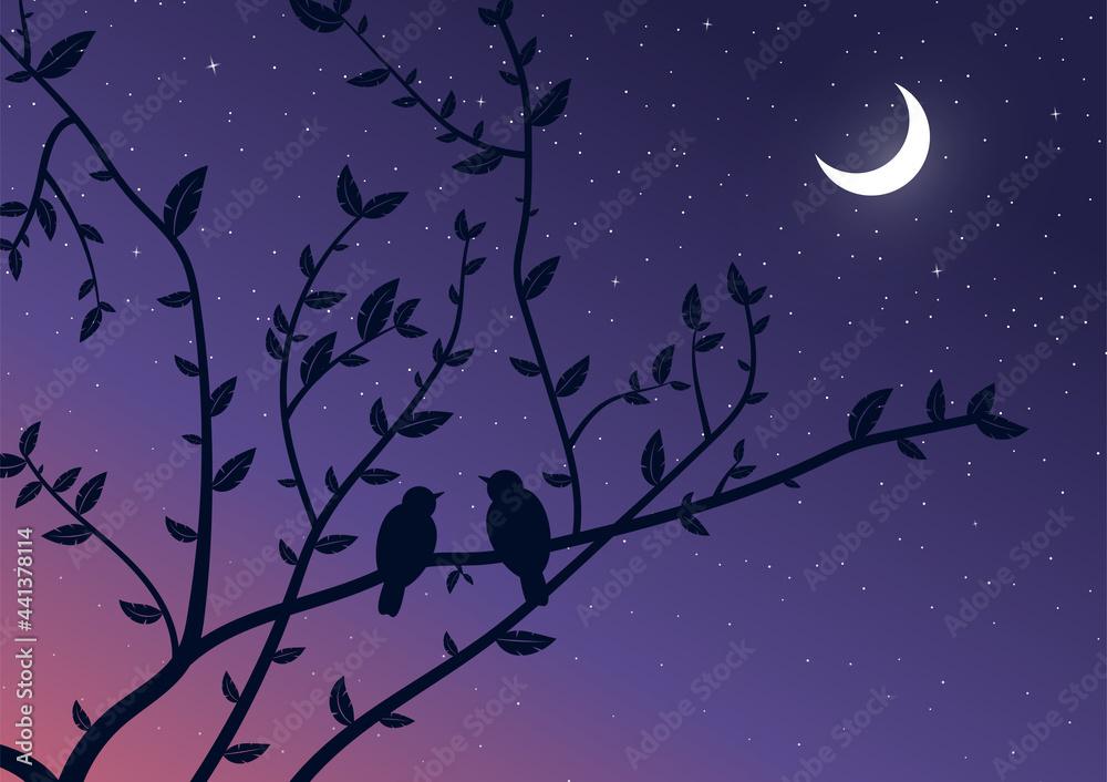 Birds sitting on the tree branch. Starry night sky and crescent moon ...